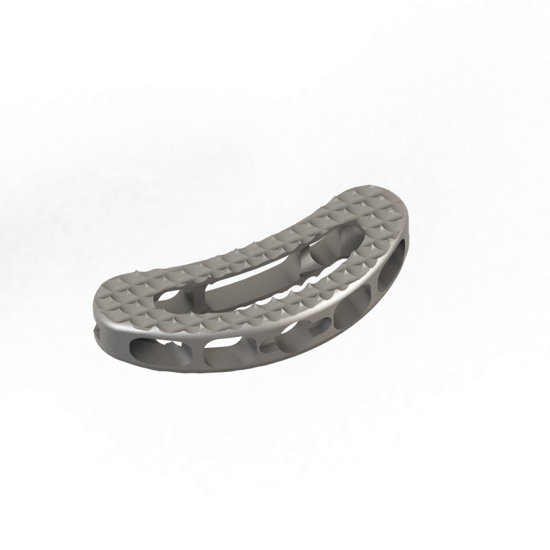 Biomech Transforaminal Lumbar Interbody Fusion Titanium Cage (Tlif)